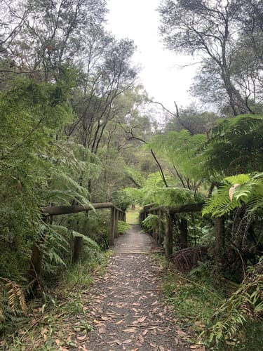 2023 Best Walking Trails in Moe | AllTrails