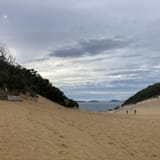 Poona Lake, Queensland, Australia - 66 Reviews, Map | AllTrails