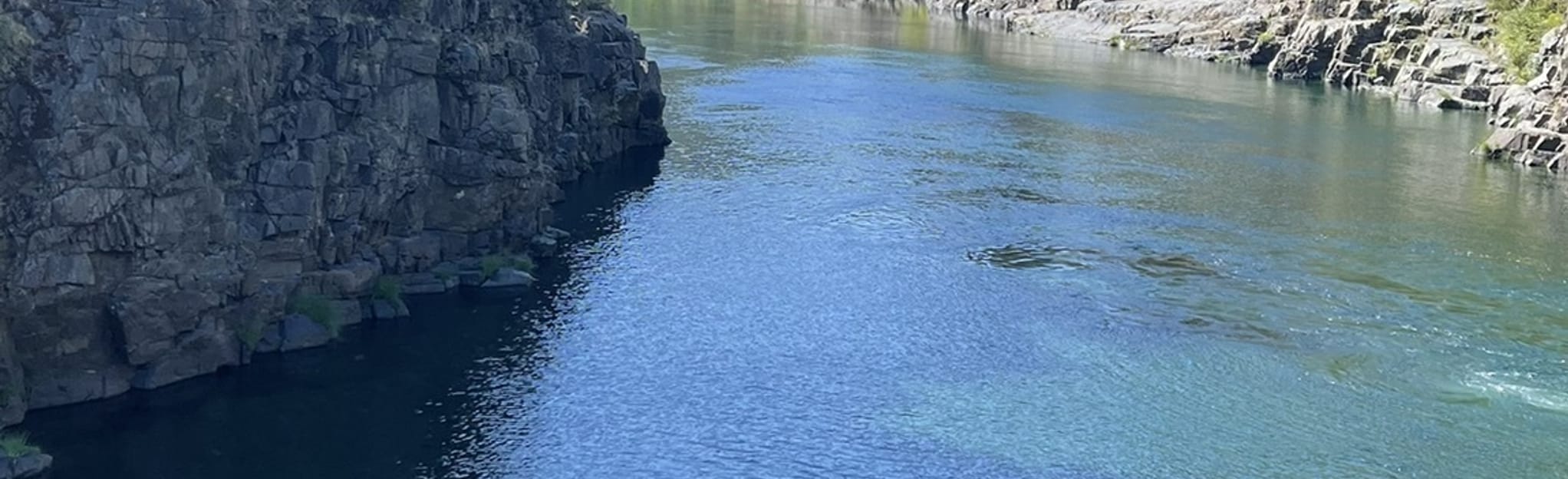 The Forks Trail, California - 35 Reviews, Map | AllTrails