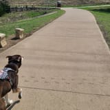 Brushy Creek Regional Trail, Texas - 1,125 Reviews, Map | AllTrails