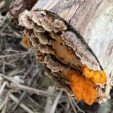 Wiley Slough Trail, Washington - 240 Reviews, Map | AllTrails