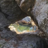 Hamilton Pool Park Trail, Texas - 354 Reviews, Map | AllTrails