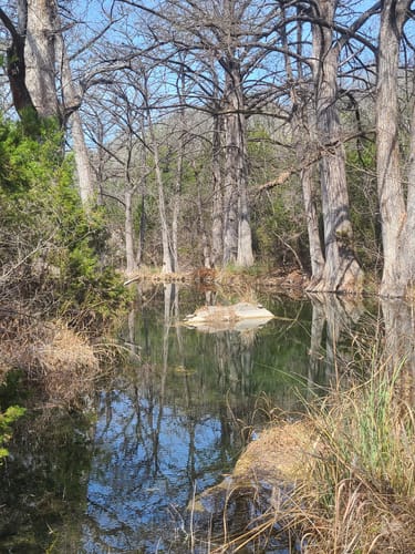 Best Hikes and Trails in Hamilton Pool Preserve | AllTrails
