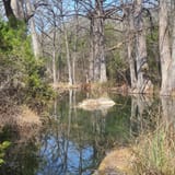 Hamilton Pool Park Trail, Texas - 379 Reviews, Map | AllTrails