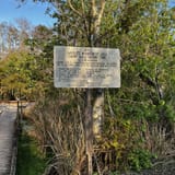 Joyce WMA Swamp Walk Nature Trail, Louisiana - 57 Reviews, Map | AllTrails