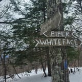 Whiteface Mountain, New Hampshire - 541 Reviews, Map | AllTrails