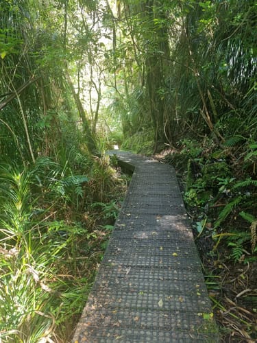 Best Hikes and Trails in Tunnel Gully Recreation Area | AllTrails