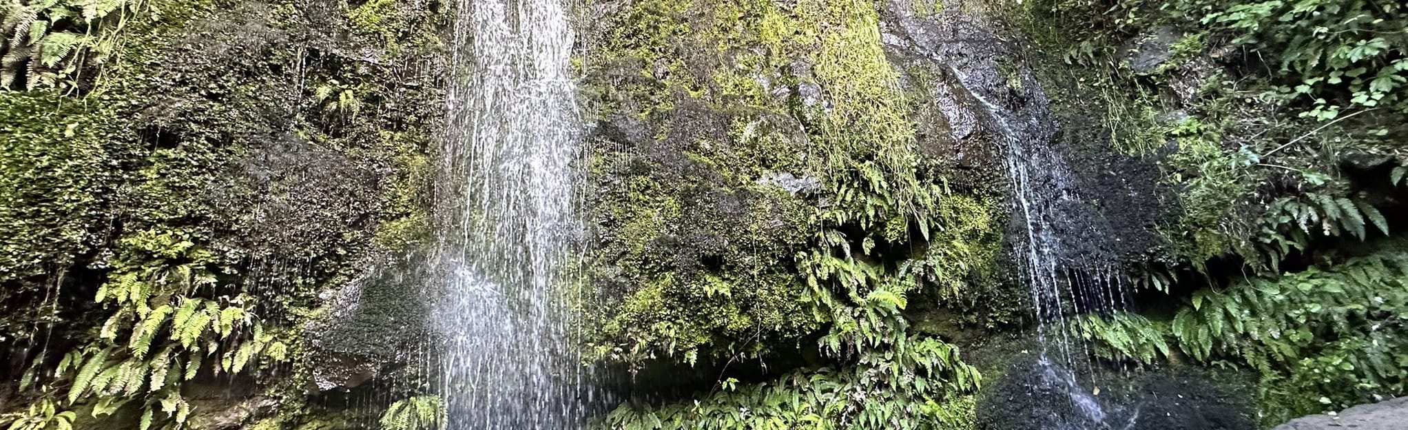 Newton’s Waterfall from Akaroa: 62 Fotos - Canterbury, Neuseeland ...