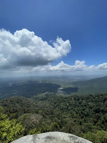 Best Hikes and Trails in Gunung Datuk Recreational Forest | AllTrails