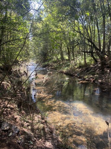 Best Hikes and Trails in B'sorah Trails | AllTrails