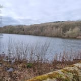 Linacre Reservoirs Circular, Derbyshire, England - 310 Reviews, Map ...