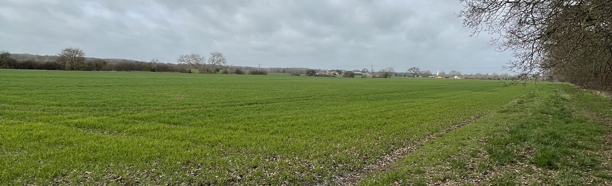 Hawkwell Circular, Essex, England - 29 Reviews, Map | AllTrails