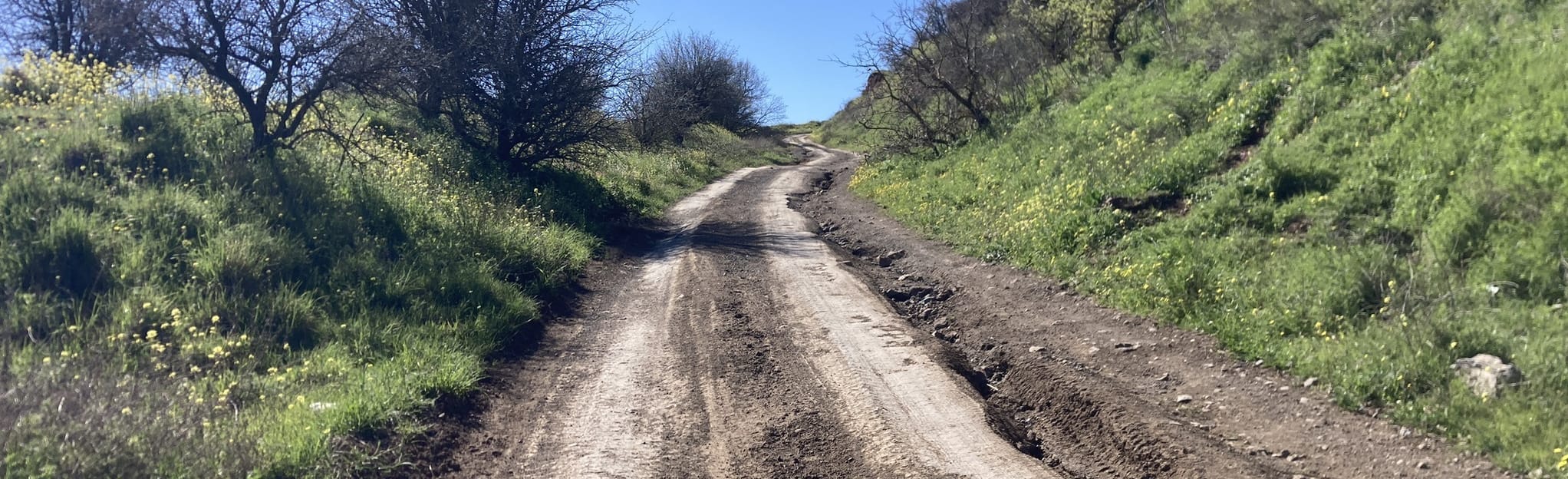 Golan Ancient Volcanos Loop: 77 Fotos - Golan Heights, Israel | AllTrails