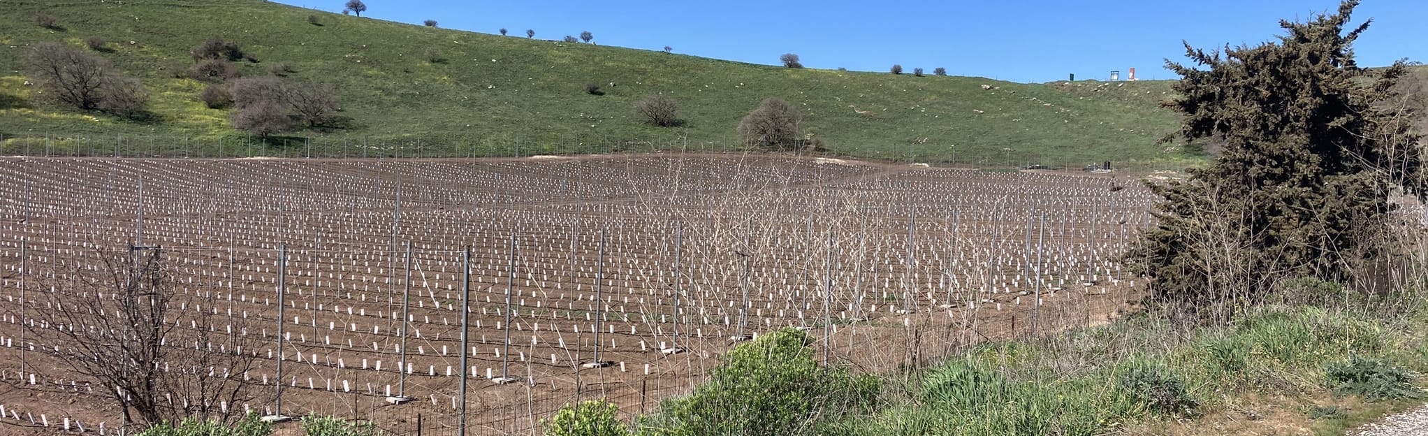 Meron Golan and Mount Bental Exterior Loop: 4 Reviews, Map - Golan ...