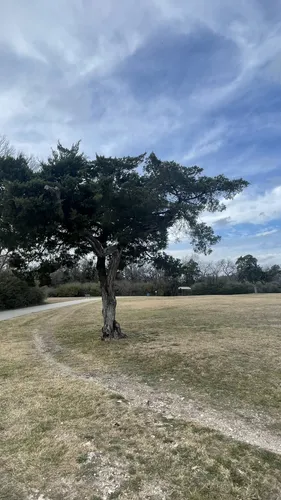 Best Hikes and Trails in Kiest Park | AllTrails