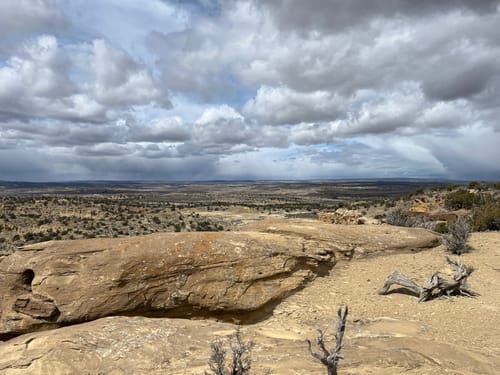 Best Hikes and Trails in Mentmore | AllTrails