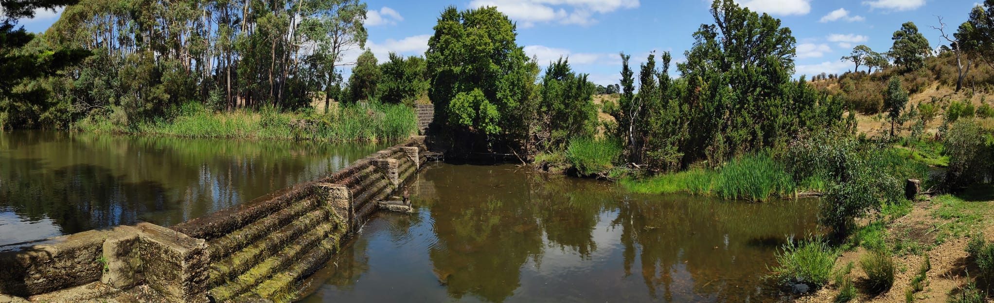 Campaspe River Walk, Victoria, Australia - 309 Reviews, Map | AllTrails