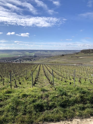 2023 Best River Trails in Montagne de Reims Regional Nature Park ...