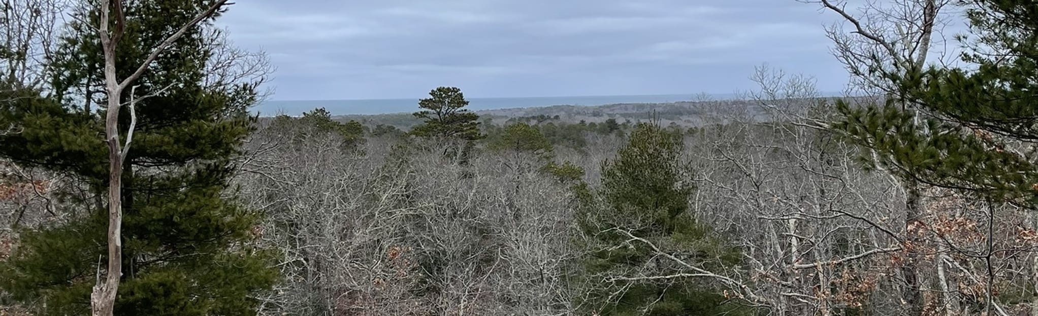 Maple Swamp Conservation Area Landmarks Loop: 202 foto - Massachusetts ...