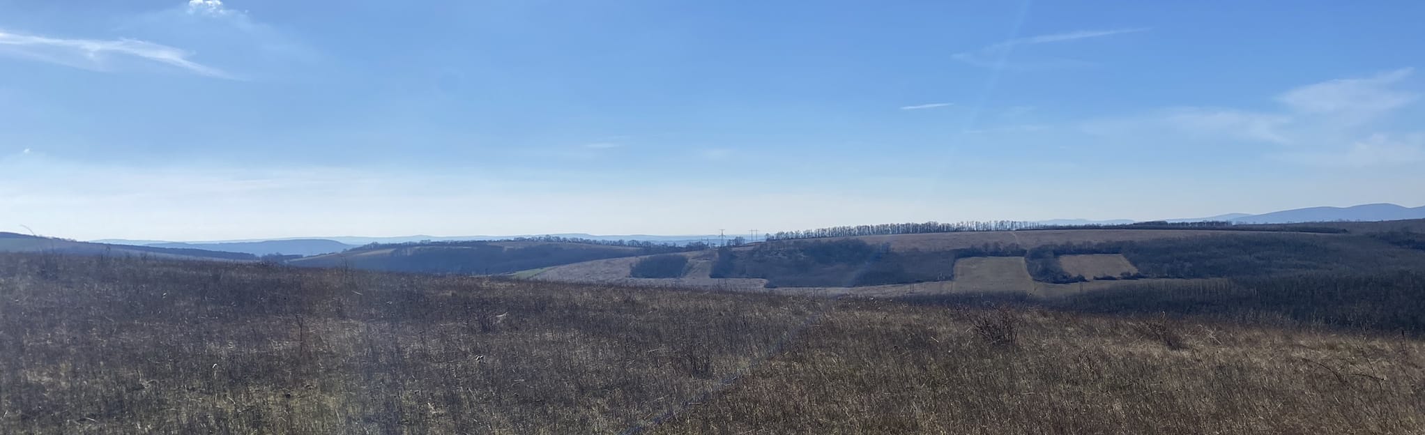 Kosd Loop, Pest, Hungary - Map, Guide | AllTrails