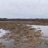 Neabsco Creek Boardwalk, Virginia - 619 Reviews, Map | AllTrails