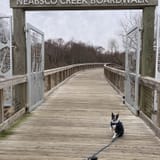Neabsco Creek Boardwalk, Virginia - 648 Reviews, Map | AllTrails