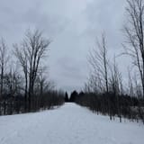 Loree Forest Loop, Ontario, Canada - 1,069 Reviews, Map | AllTrails