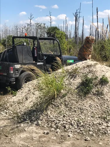 2023 Best 10 Off Road Driving Trails in Florida | AllTrails