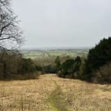 Gomshall Mill and Netley Park Circular, Surrey, England - 219 Reviews ...