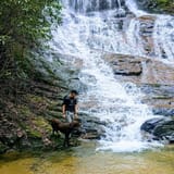 Wildcat Creek Loop Trail, Georgia - 322 Reviews, Map | AllTrails