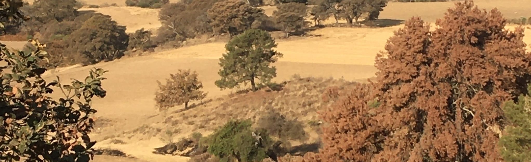 Juchitepec Circuit: 14 Reviews, Map - México, Mexico | AllTrails