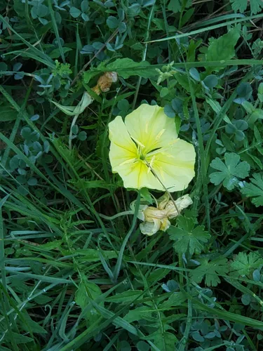 Best Hikes and Trails in Ringtail Ridge Natural Area | AllTrails