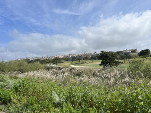 2023 Best trails in Chapparosa Park | AllTrails