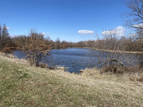 Best Hikes and Trails in Maple Leaf Lake Conservation Area | AllTrails