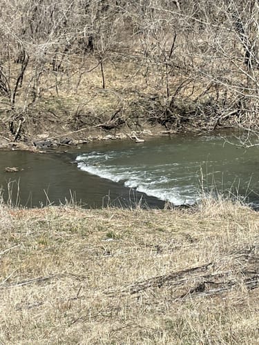 Best Hikes and Trails in Little Blue Trace County Park | AllTrails