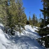 Palouse Divide to Lane's Lookout, Idaho - 35 Reviews, Map | AllTrails