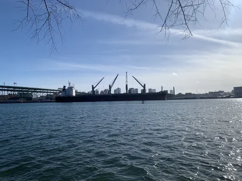 Beste wandelingen en routes in Mary O'Malley State Park | AllTrails