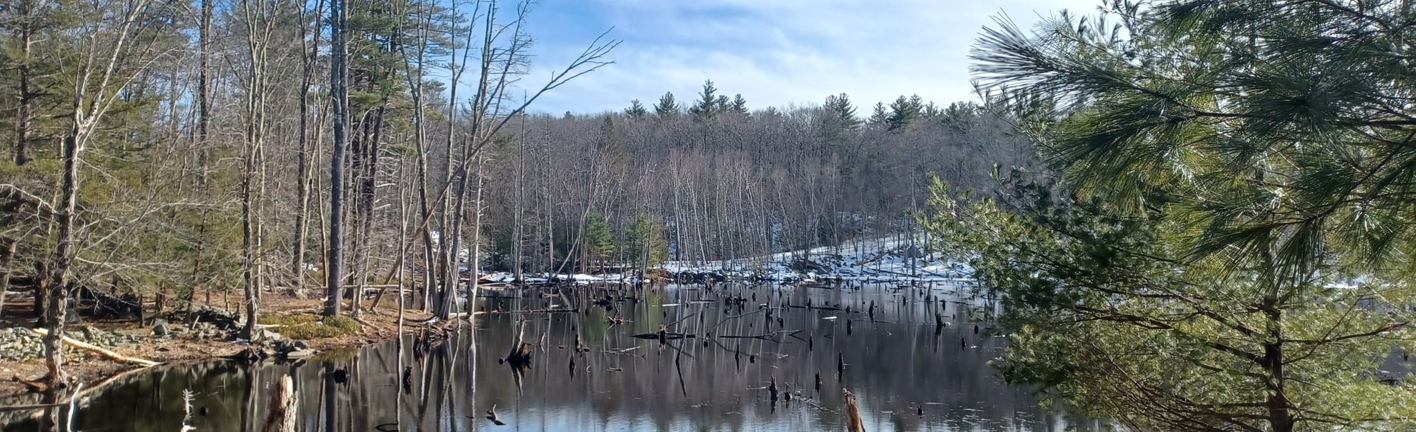 Cottontail Lane, Gumpus Hill and Whitetail Trail: 168 Reviews, Map ...