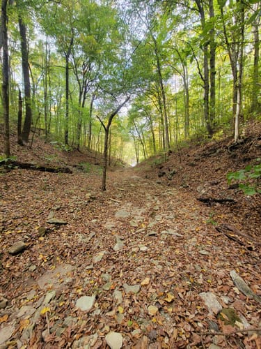 Best Hikes and Trails in Brigadoon State Nature Preserve | AllTrails