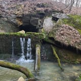Cave River Valley Trail, Indiana - 174 Reviews, Map | AllTrails