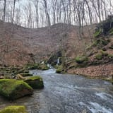 Cave River Valley Trail, Indiana - 174 Reviews, Map | AllTrails