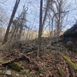 Cave River Valley Trail, Indiana - 174 Reviews, Map | AllTrails