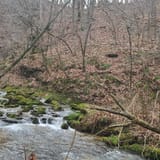 Cave River Valley Trail, Indiana - 174 Reviews, Map | AllTrails