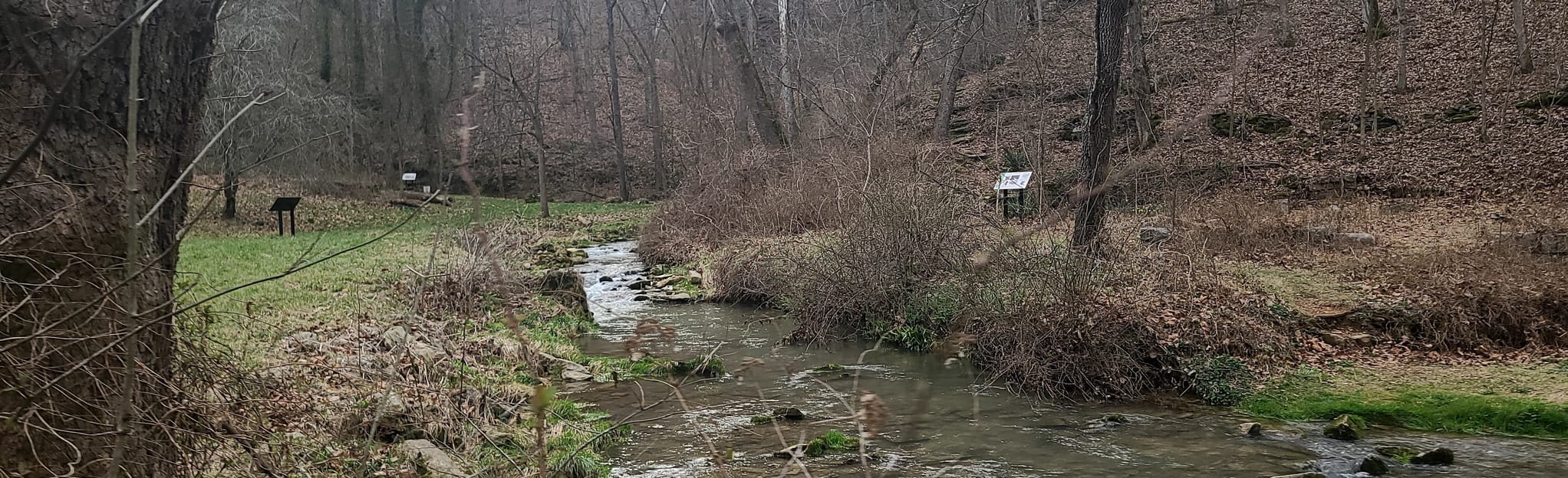 Cave River Valley Trail, Indiana - 173 Reviews, Map | AllTrails