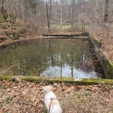 Cave River Valley Trail, Indiana - 174 Reviews, Map | AllTrails