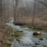Cave River Valley Trail, Indiana - 174 Reviews, Map | AllTrails