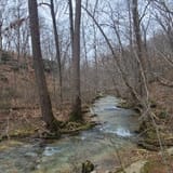 Cave River Valley Trail, Indiana - 189 Reviews, Map | AllTrails