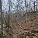 Cave River Valley Trail, Indiana - 189 Reviews, Map | AllTrails