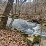 Cave River Valley Trail, Indiana - 189 Reviews, Map | AllTrails
