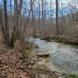 Cave River Valley Trail, Indiana - 189 Reviews, Map | AllTrails